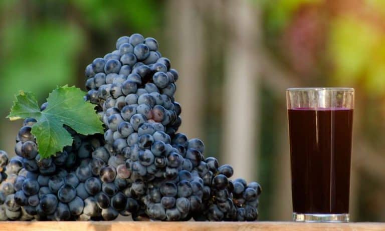 Making Grape Juice with A Juicer – Recipe and Tips
